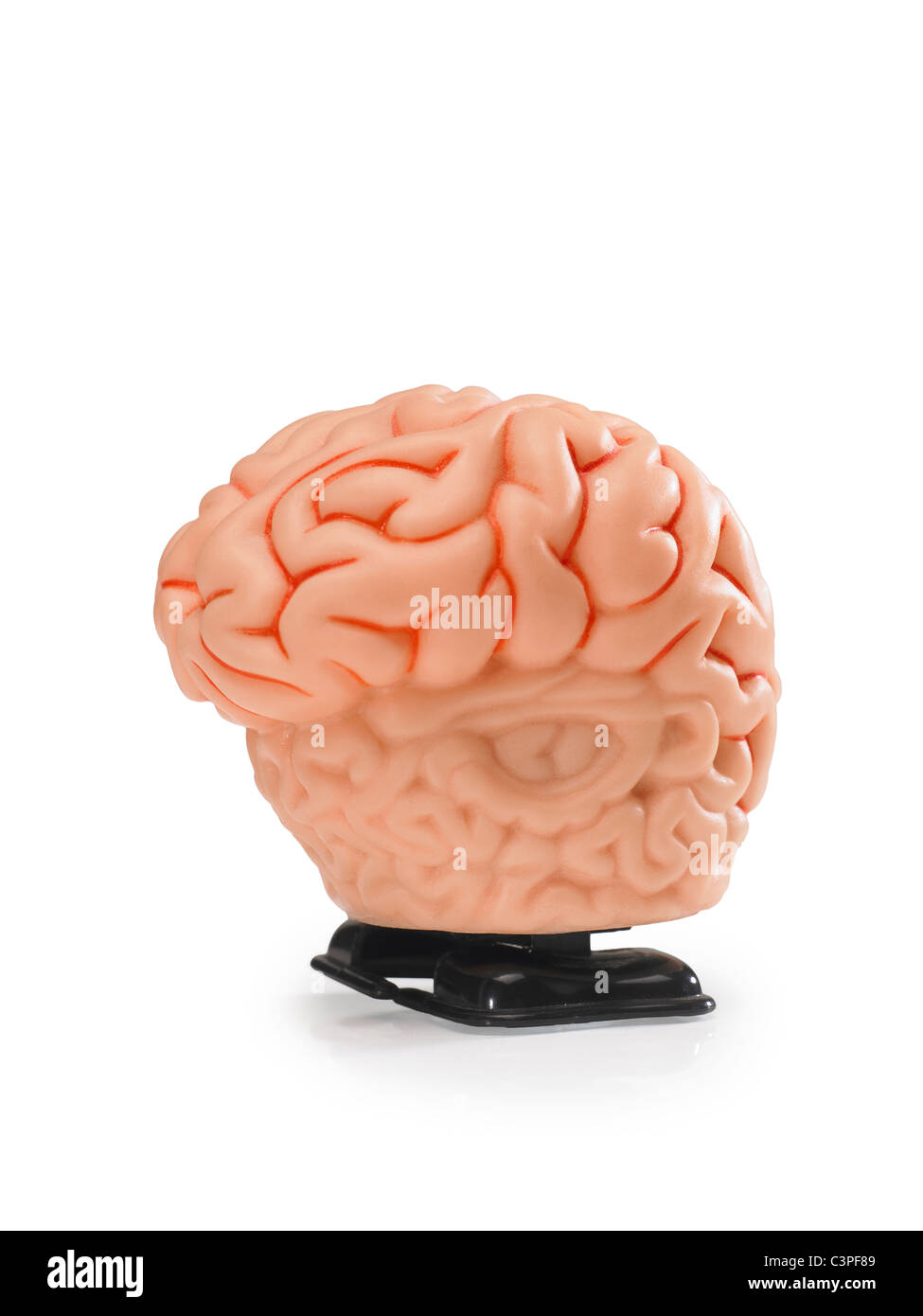 walking wind up toy human brain cut out on white Stock Photo - Alamy