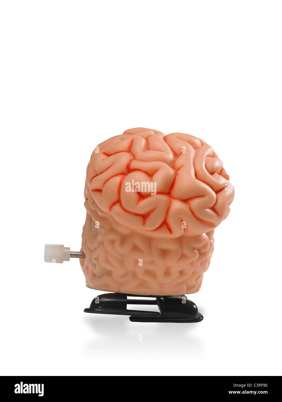Brain toy walking toy hi-res stock photography and images - Alamy