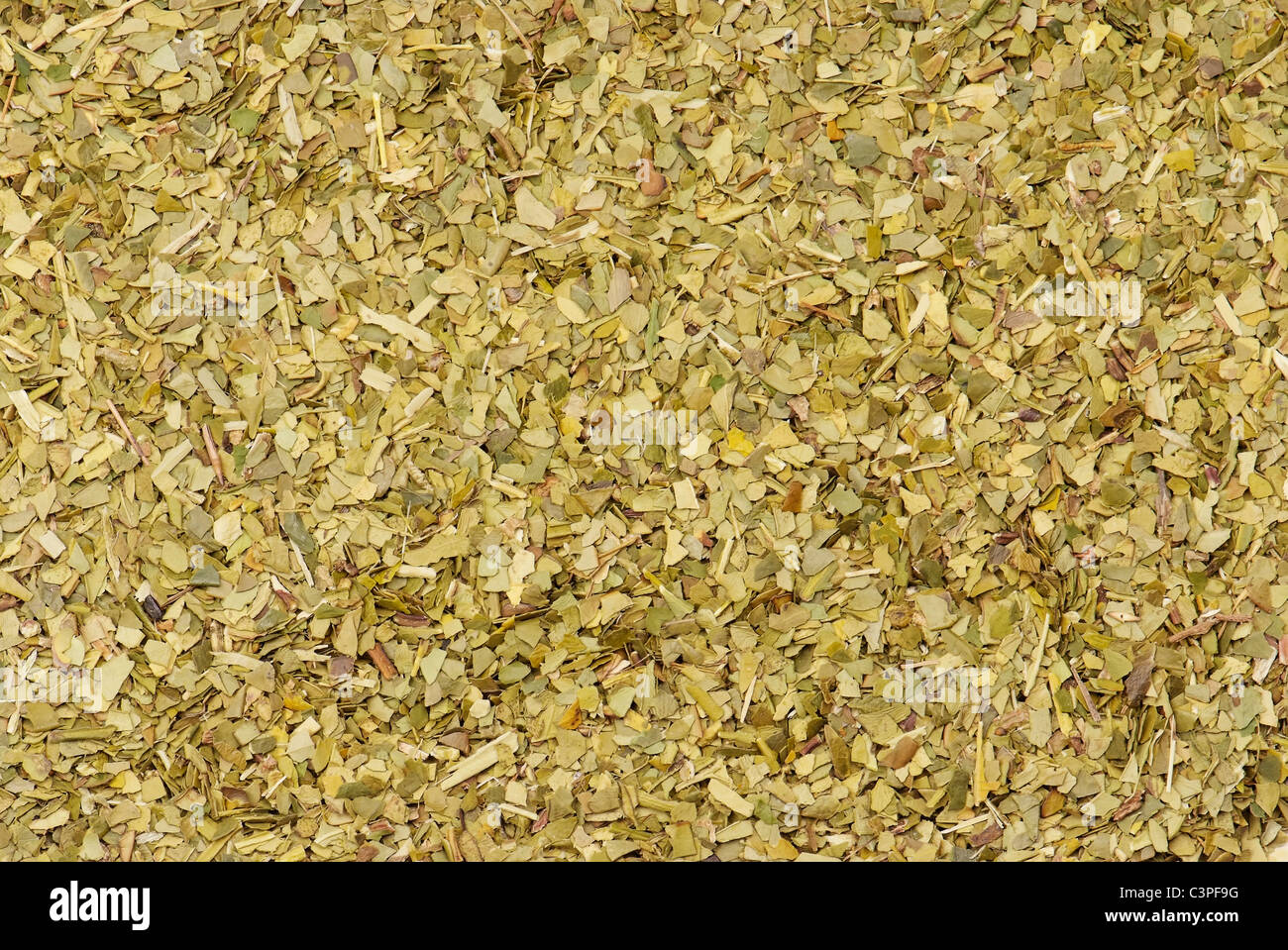 mate leaves, background Stock Photo - Alamy