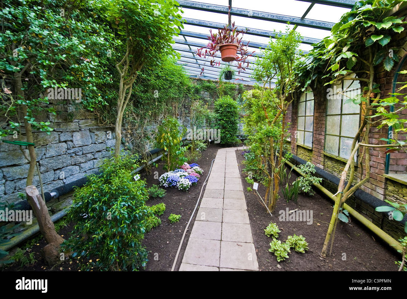 Italian glasshouse hi-res stock photography and images - Alamy