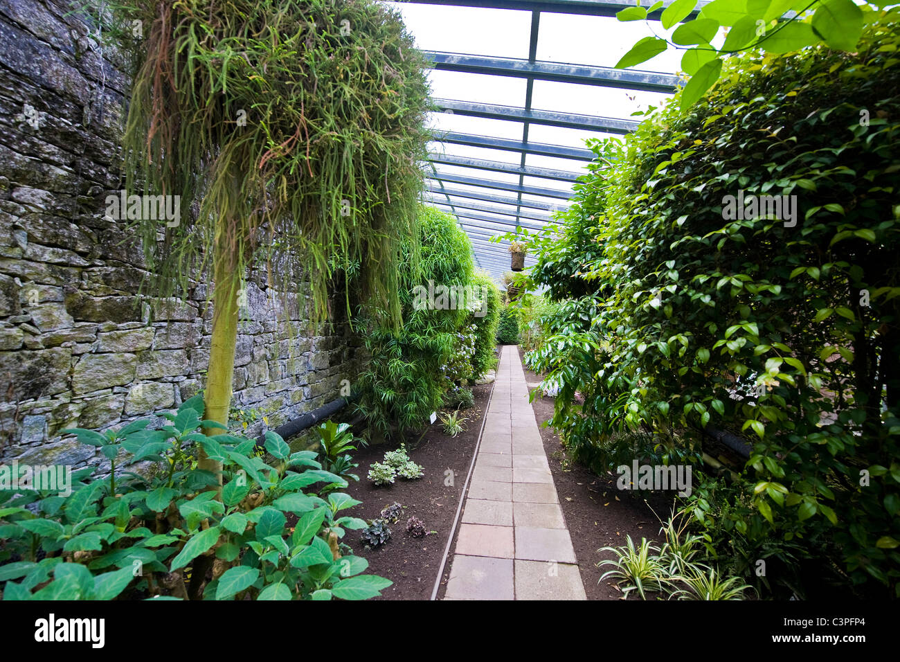 Greenhouse, Villa Taranto, Pallanza, Italy Stock Photo - Alamy