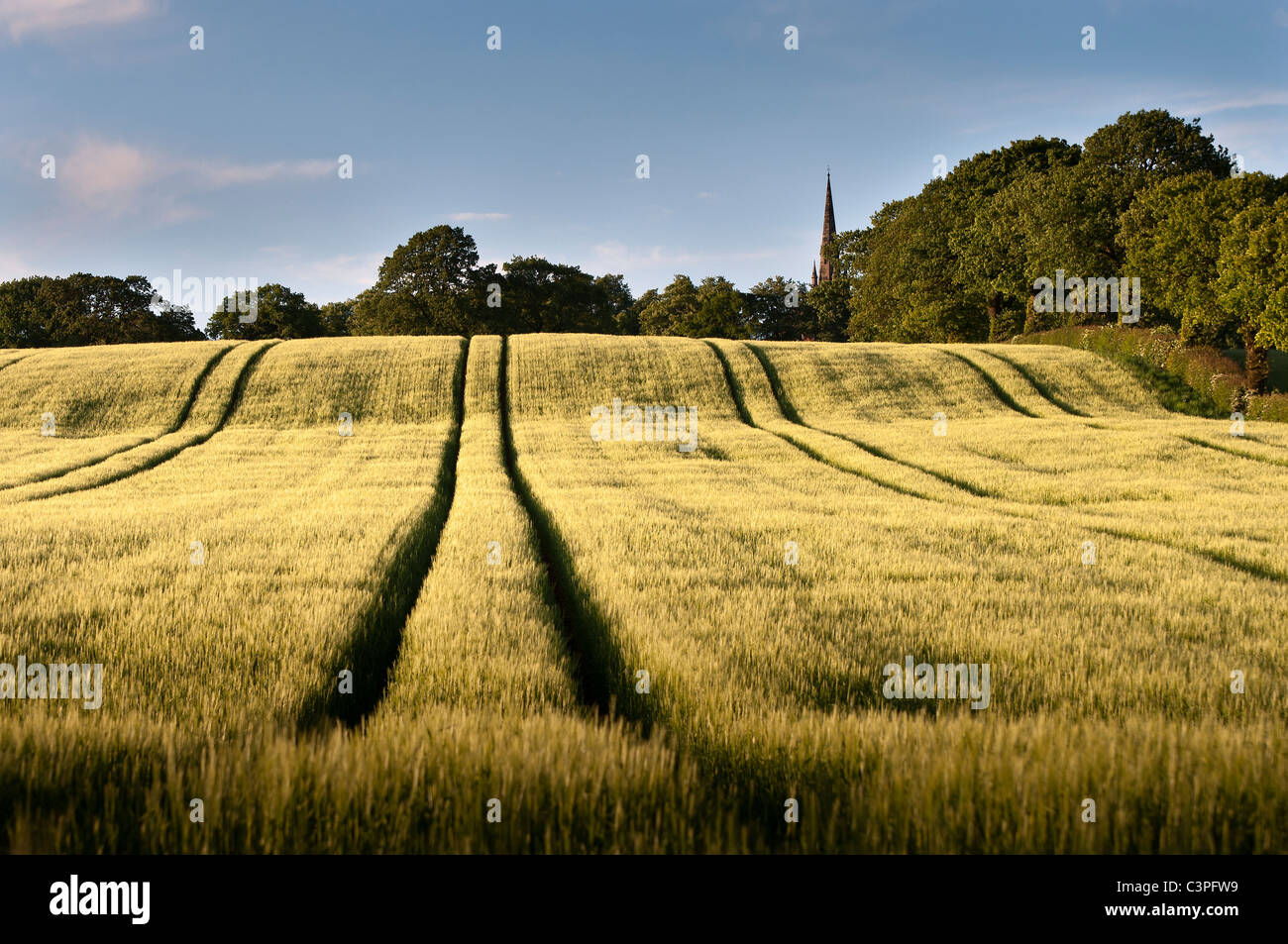 Keele High Resolution Stock Photography and Images - Alamy