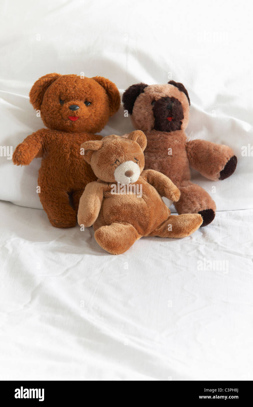 Three stuffed teddy bears Stock Photo - Alamy