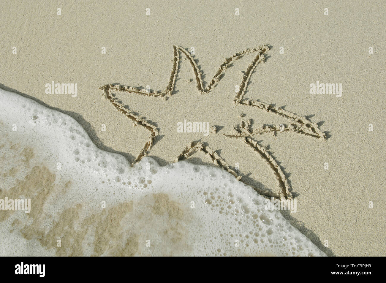 Star fish drawing hi-res stock photography and images - Alamy