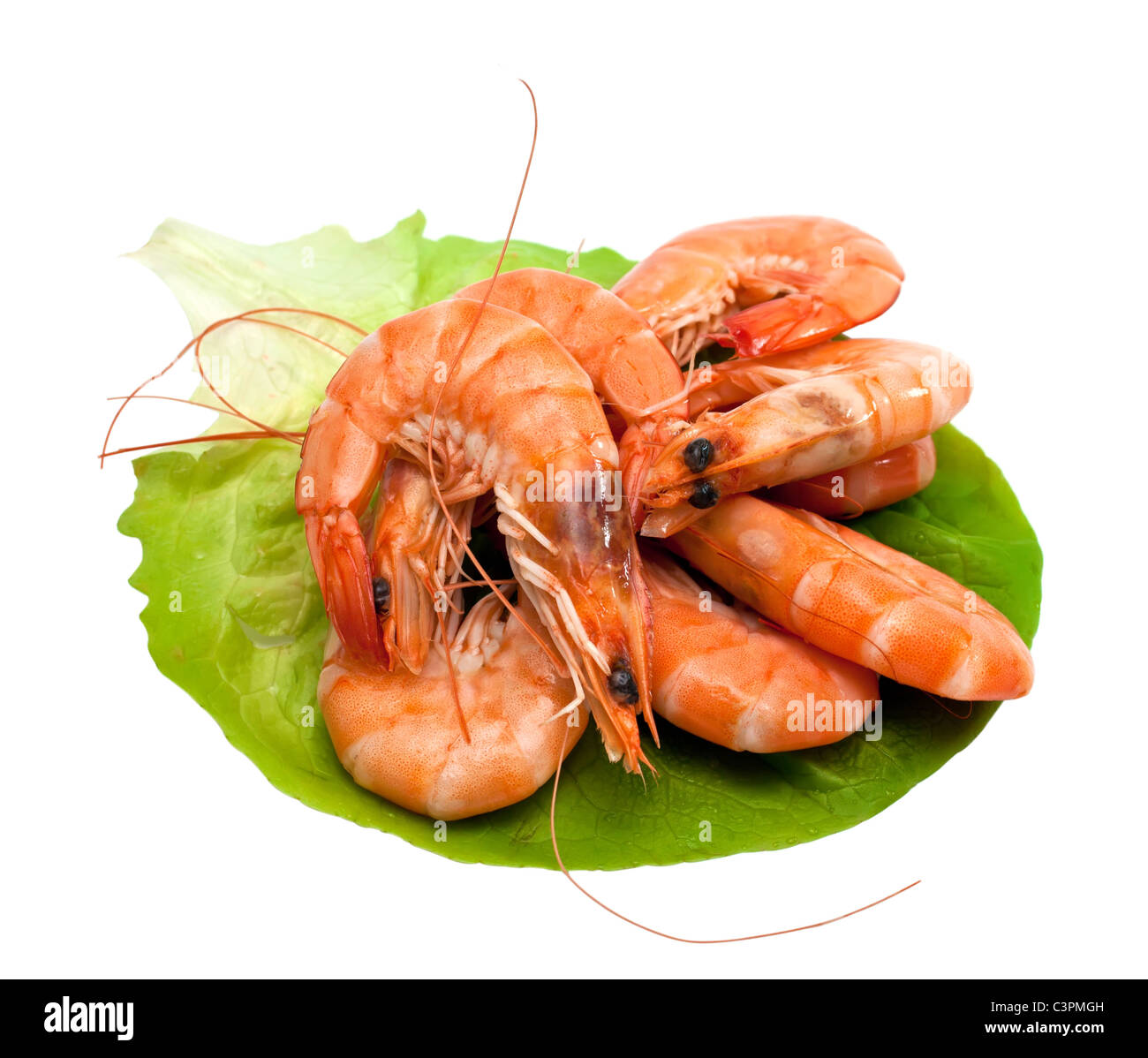 Shrimp crustacean hi-res stock photography and images - Alamy