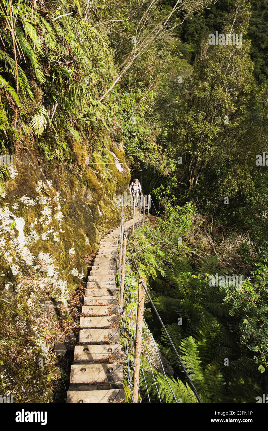 New Zealand, South Island, Woman hiking on Alex Knob Trail Stock Photo ...