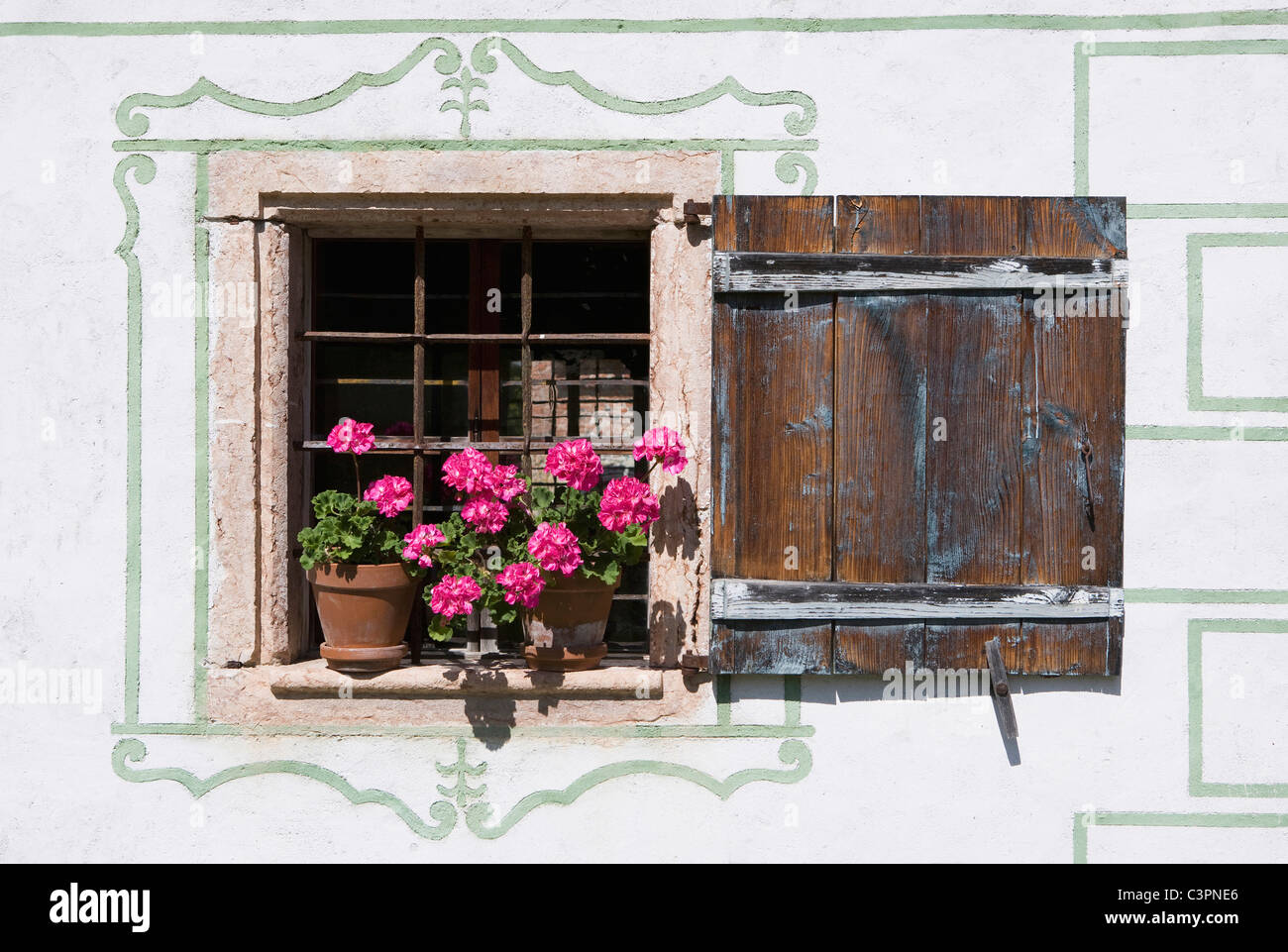 Austria, Salzburger Land, Geranium flowers on alpine hut window, close ...