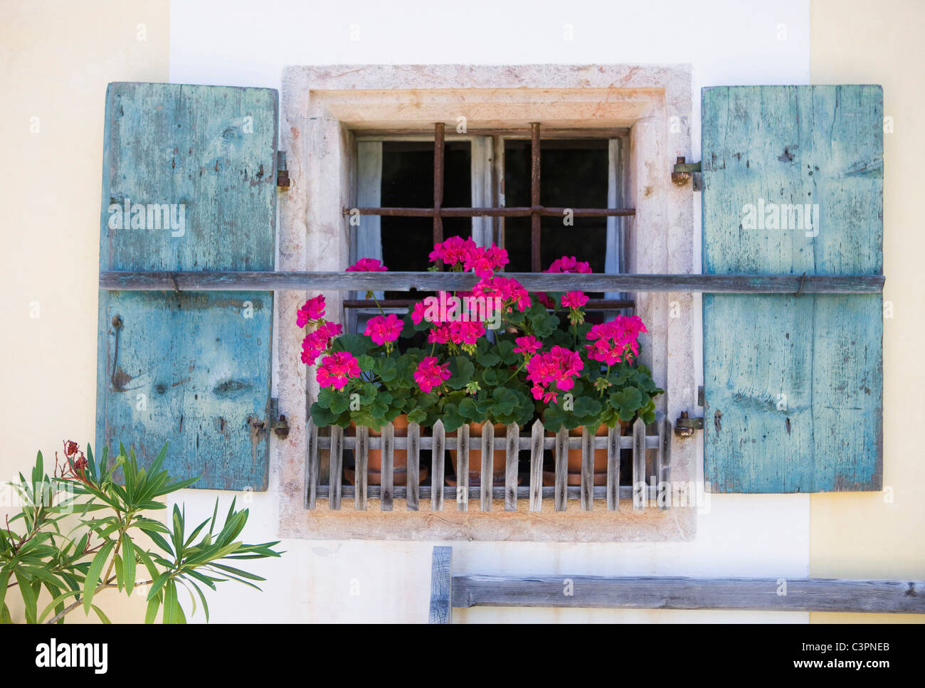 Austria, Salzburger Land, Geranium flowers on window, close-up Stock ...