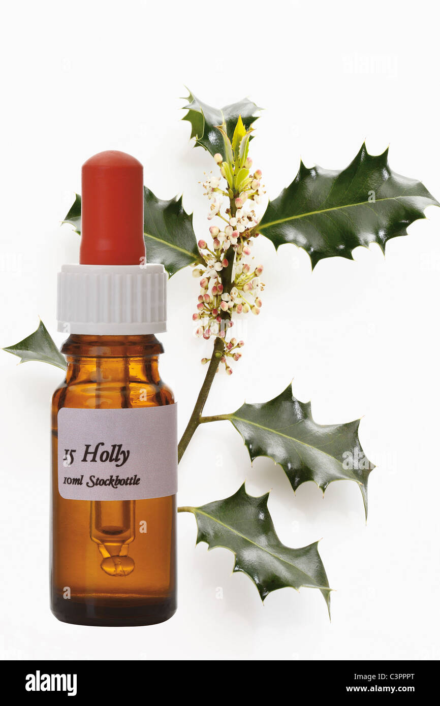 White holly hi-res stock photography and images - Alamy