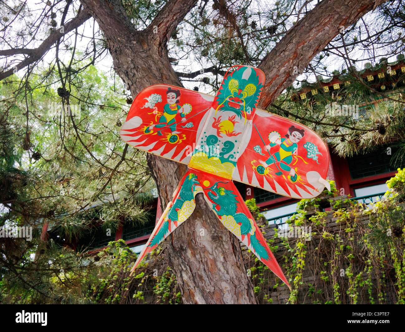 Kite stuck in tree in Beijing, China Stock Photo - Alamy