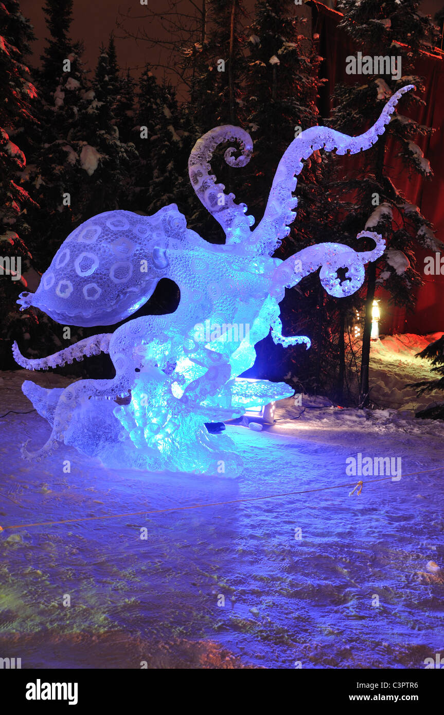 Translucent octopus hi-res stock photography and images - Alamy