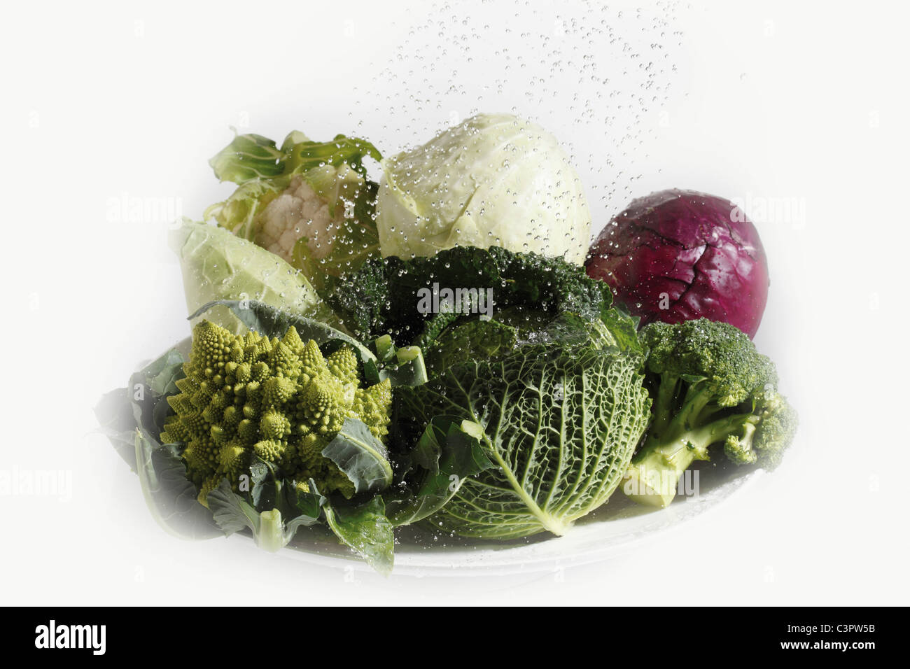 Variety of cabbage in plate against white background Stock Photo - Alamy