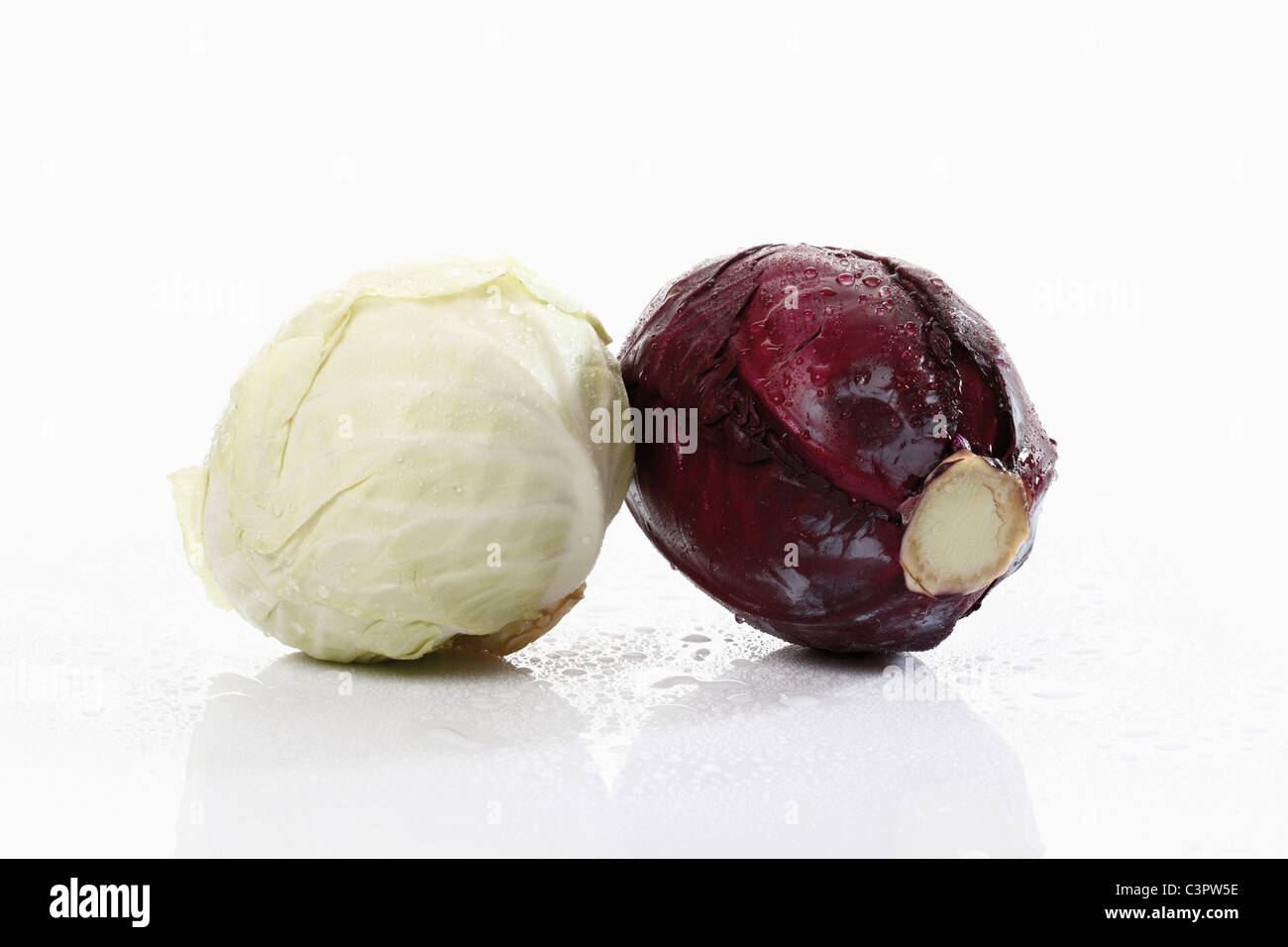 Red and white cabbage on white background Stock Photo - Alamy