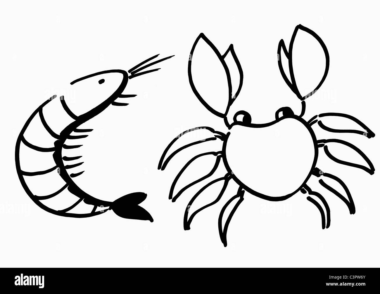 Crab drawing Black and White Stock Photos & Images - Alamy