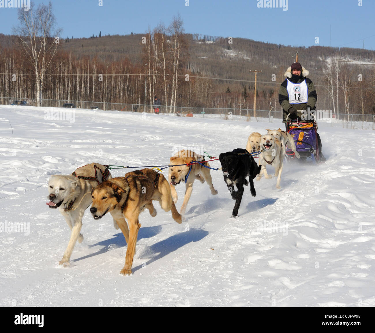 Limited North American Championship Sled Dog Races. Six Sled Dog ...
