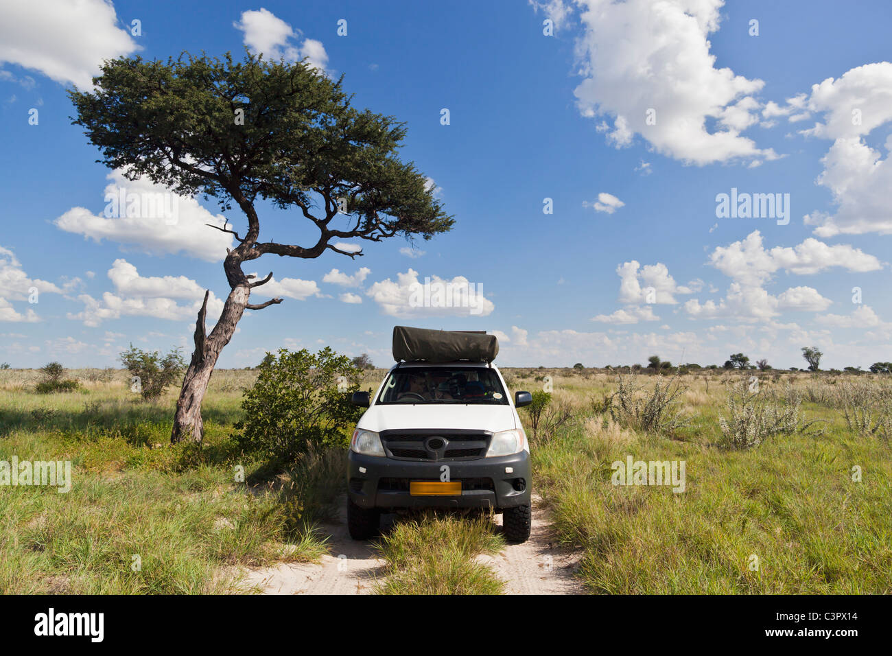 Africa, Botswana, Land vehicle passing through central kalahari game ...
