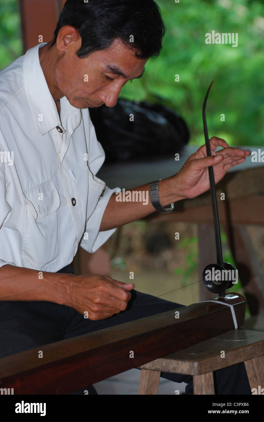 Musician playing the Vietnamese dan bau (one-stringed zither Stock ...