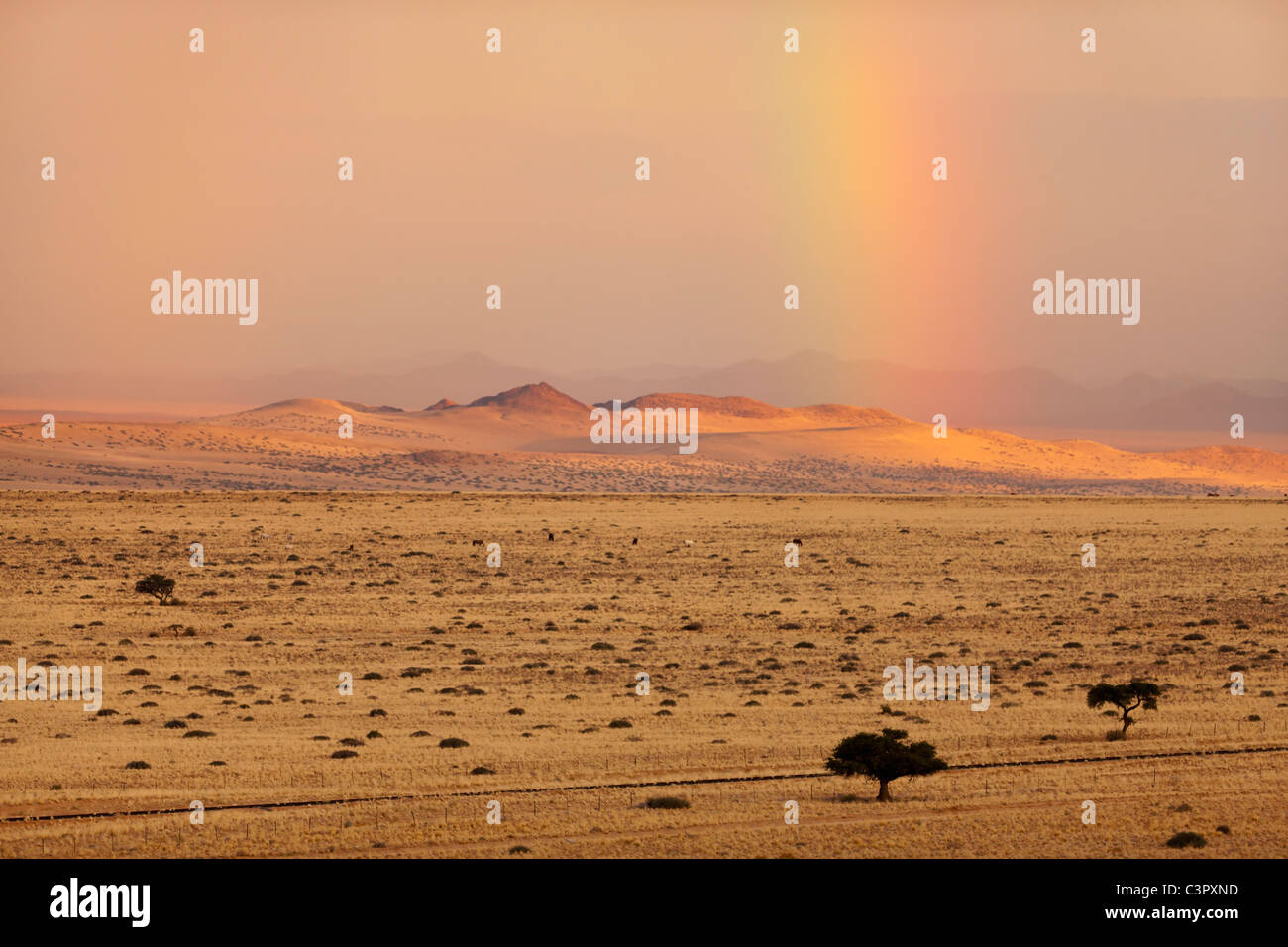 Africa, Namibia, Namib Desert, View of rainbow on gondwana sperrgebiet ...