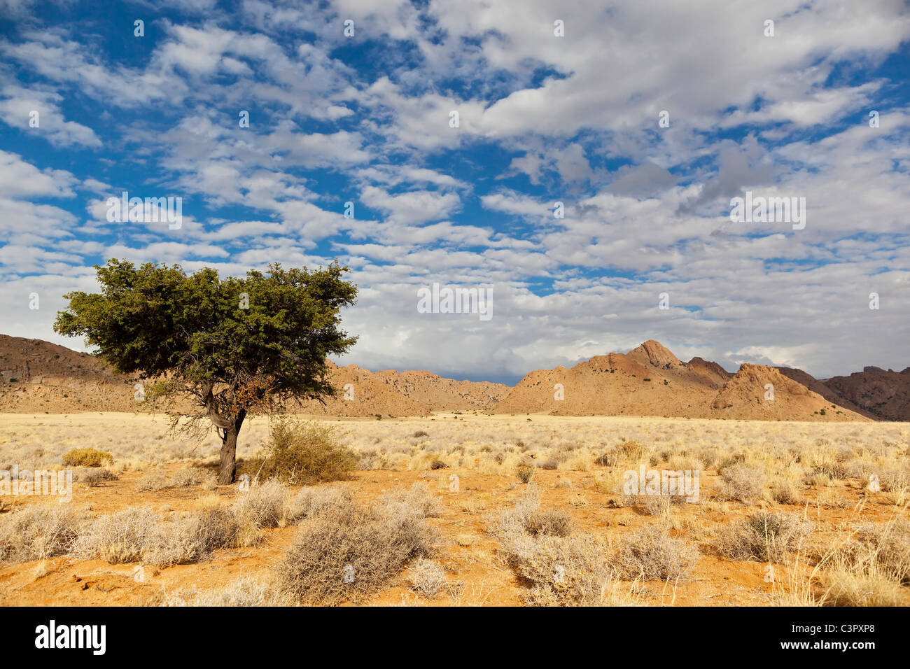 Africa, Namibia, Namib Desert, View of landscape in gondwana with Rand ...