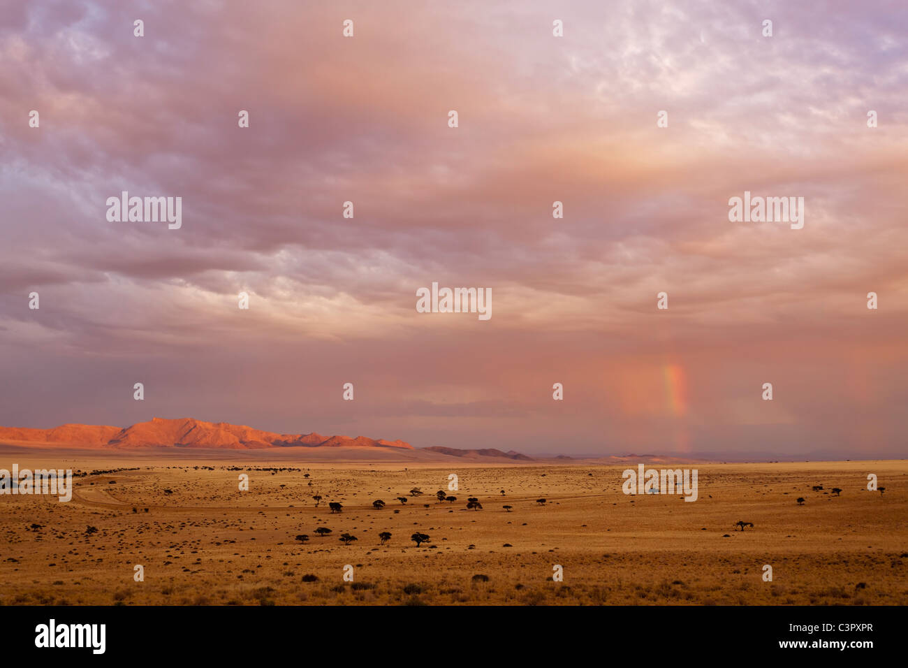 Africa, Namibia, Namib Desert, View of rainbow over gondwana ...