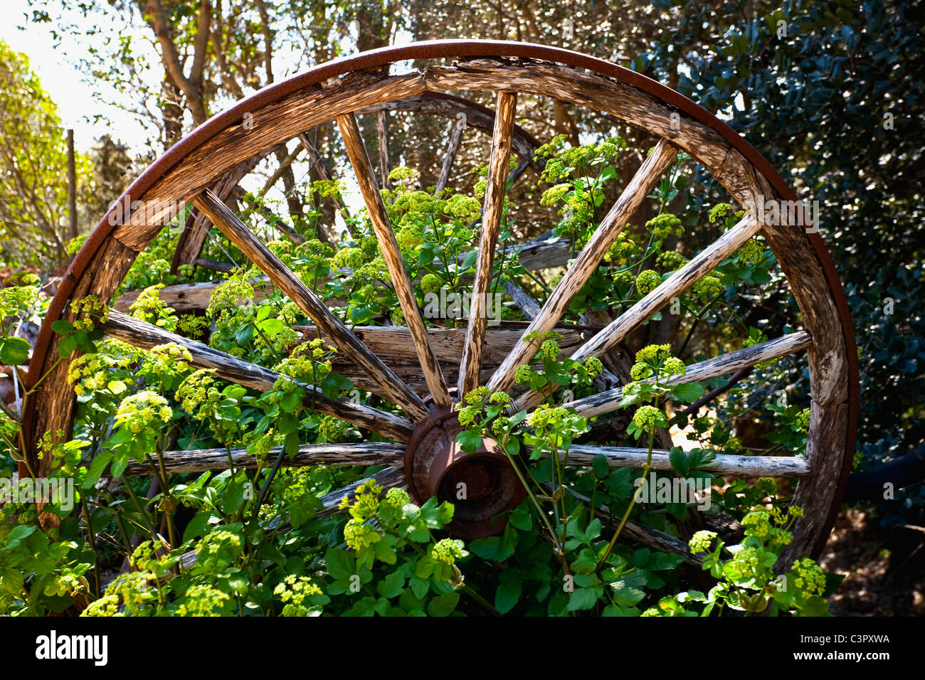 Spain, Mallorca, Cart wheel Stock Photo - Alamy