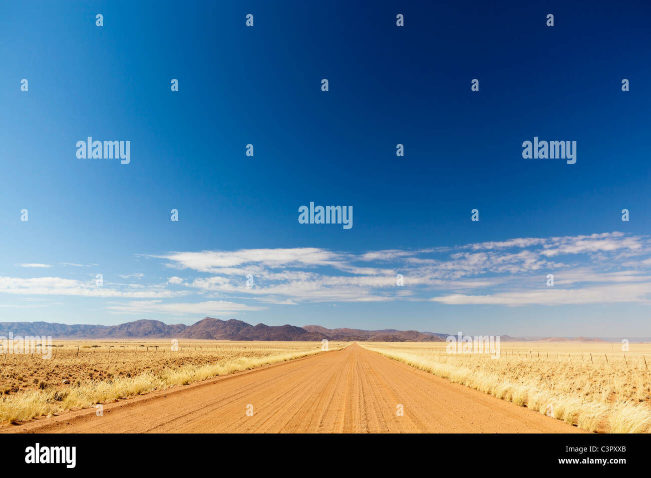 Africa, Namibia, Namib Desert, View of gravelroad through Namib Rand ...