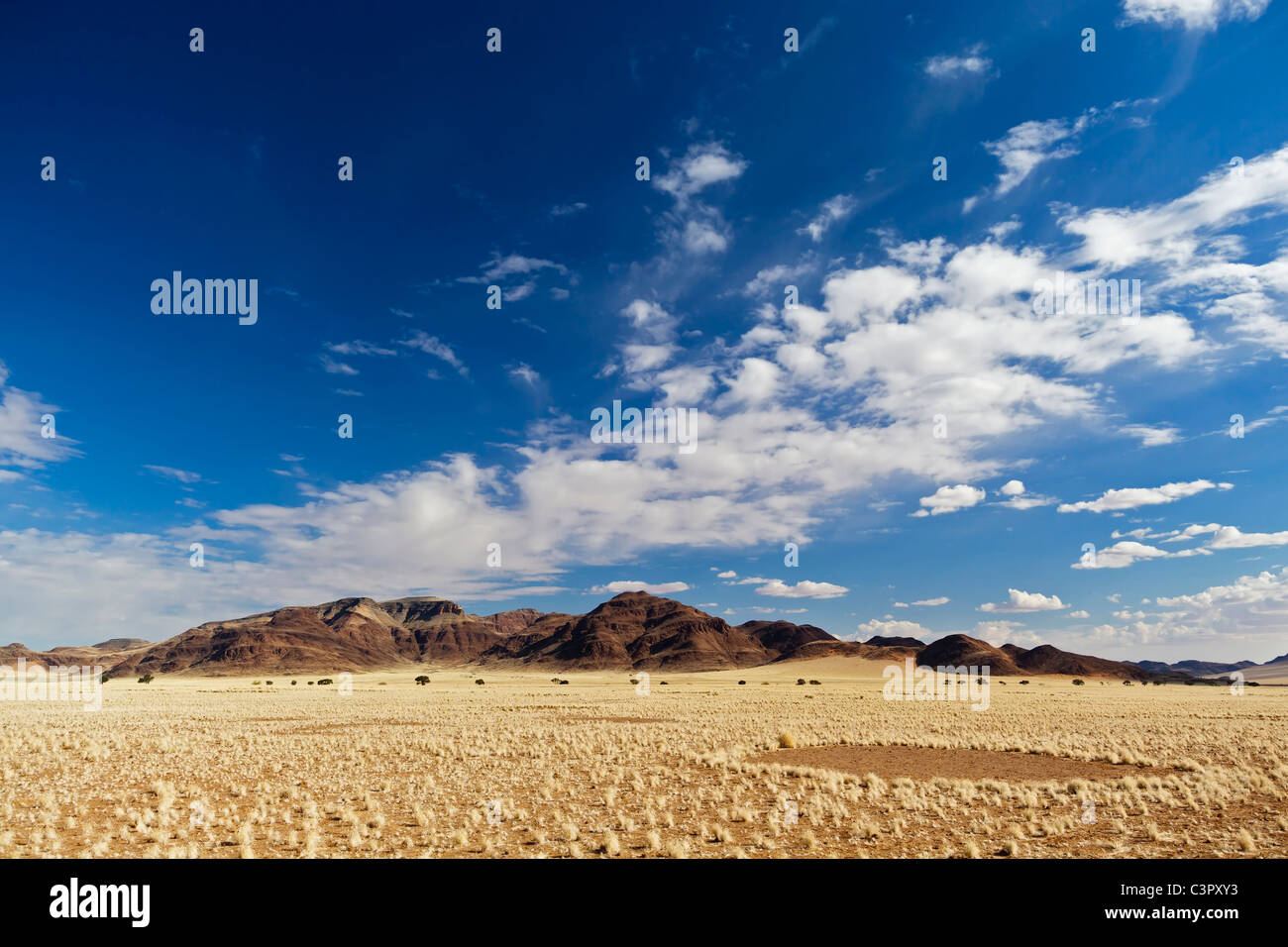 Namib rand national park hi-res stock photography and images - Alamy