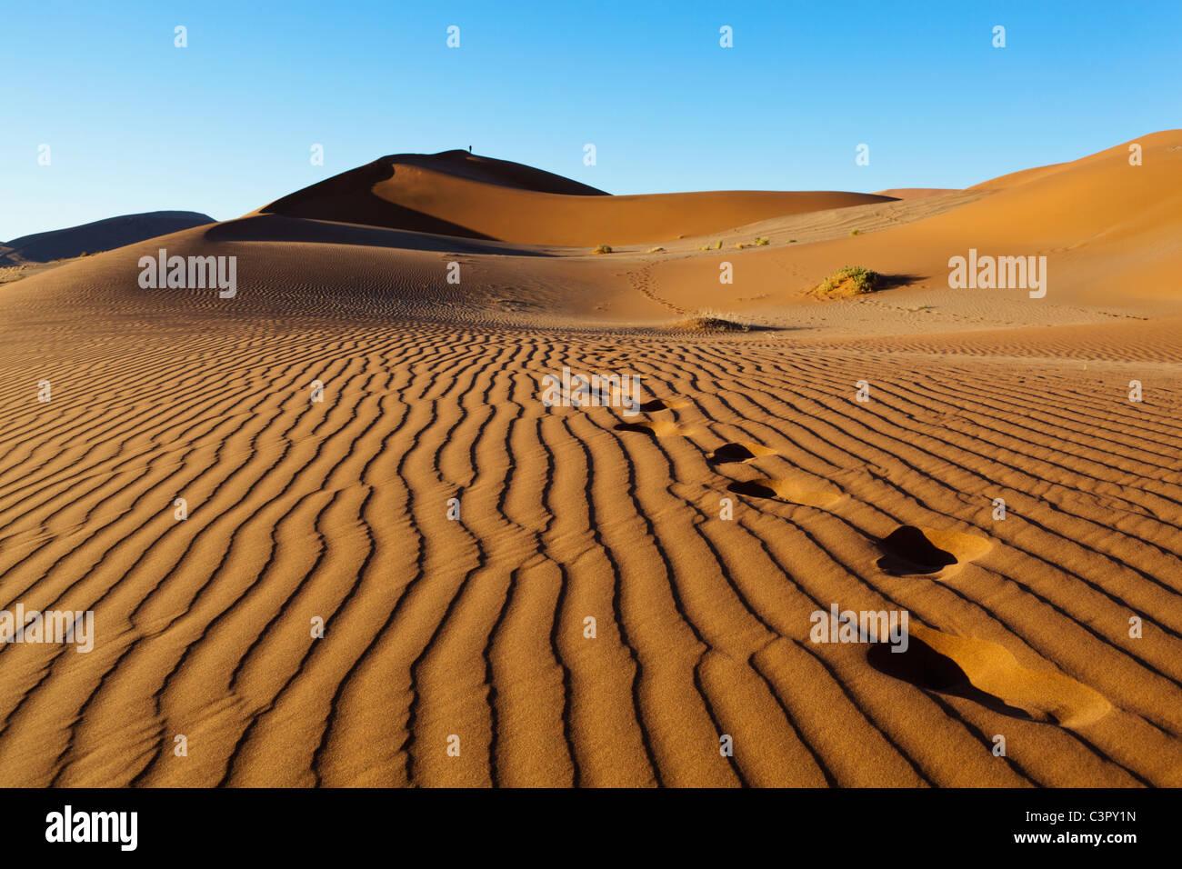 Africa, Namibia, Namib Naukluft National Park, Man walking on sand in ...