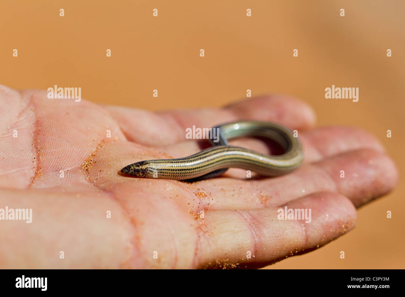 Human africa hi-res stock photography and images - Alamy