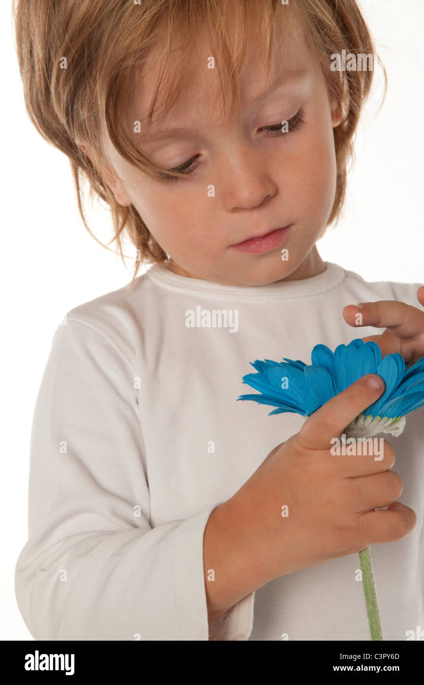 Boy (4-5) holding blue flower, close up Stock Photo - Alamy