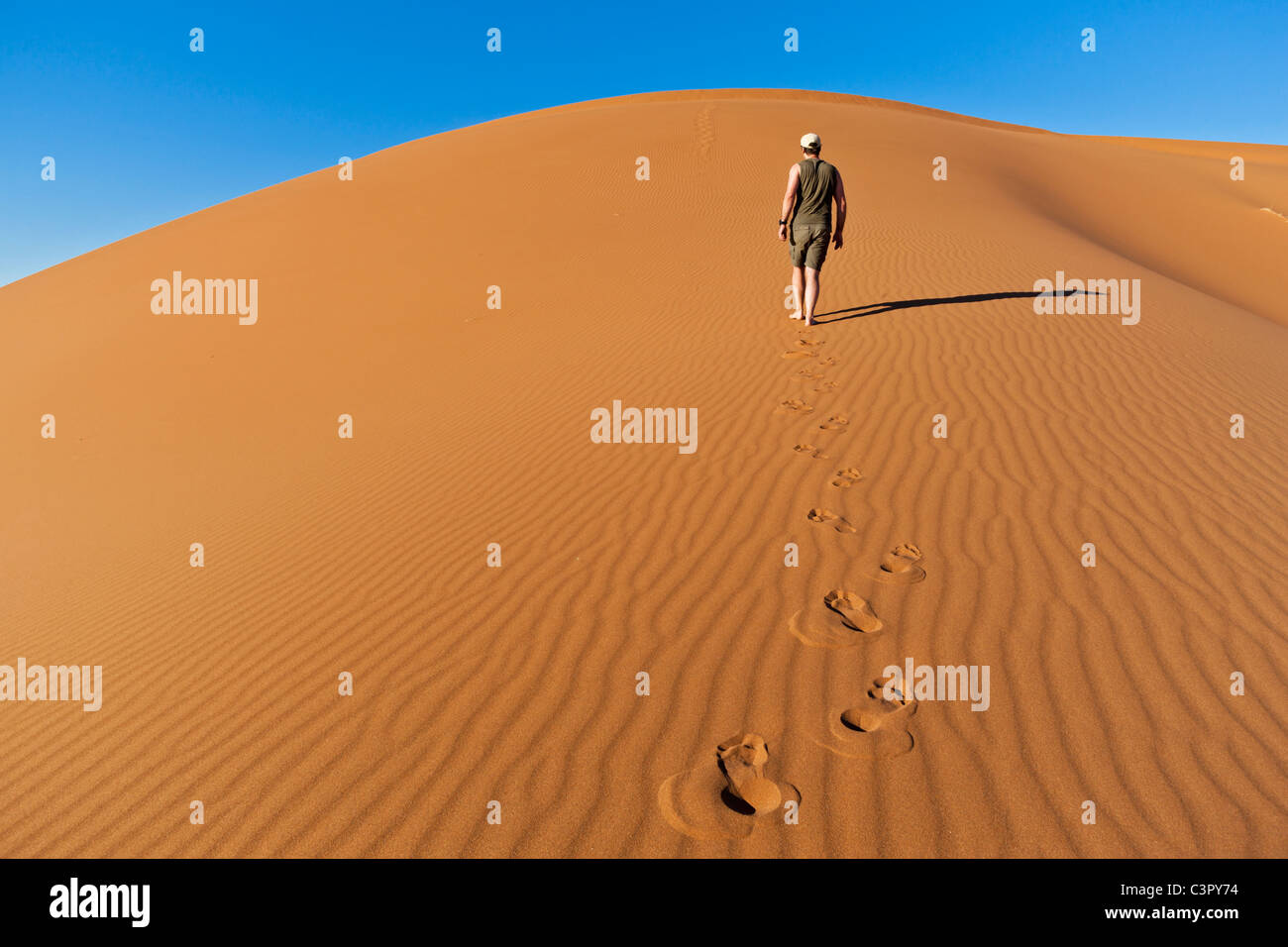 Adults walking in namib desert in namibia hi-res stock photography and ...