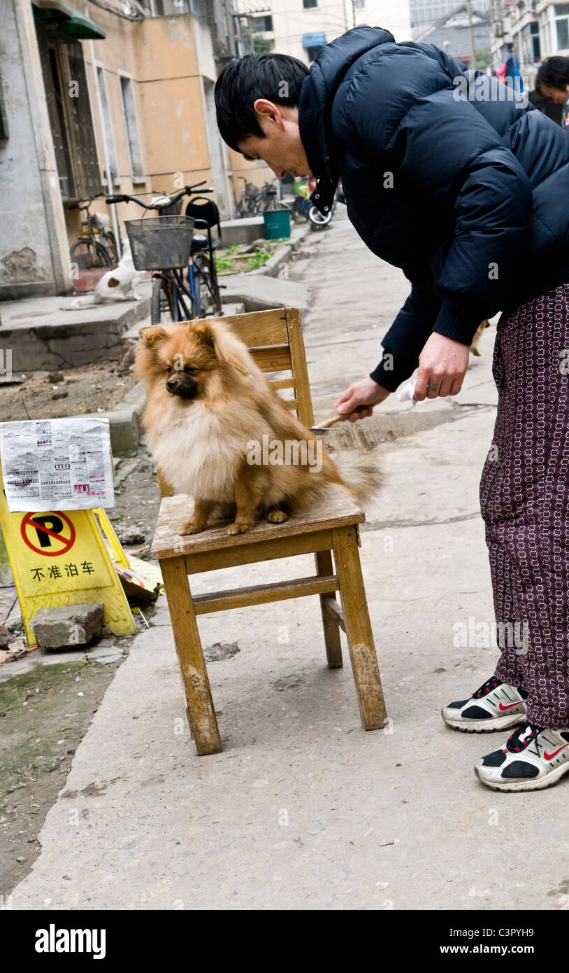 Loving his pet dog, scenes in a small Hutong neighborhood in Nanjing ...