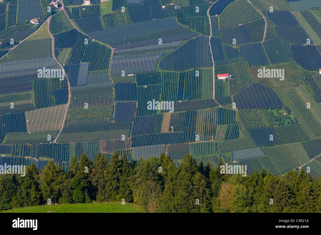 Italy, South Tyrol, Meran, View of patchwork landscape Stock Photo - Alamy