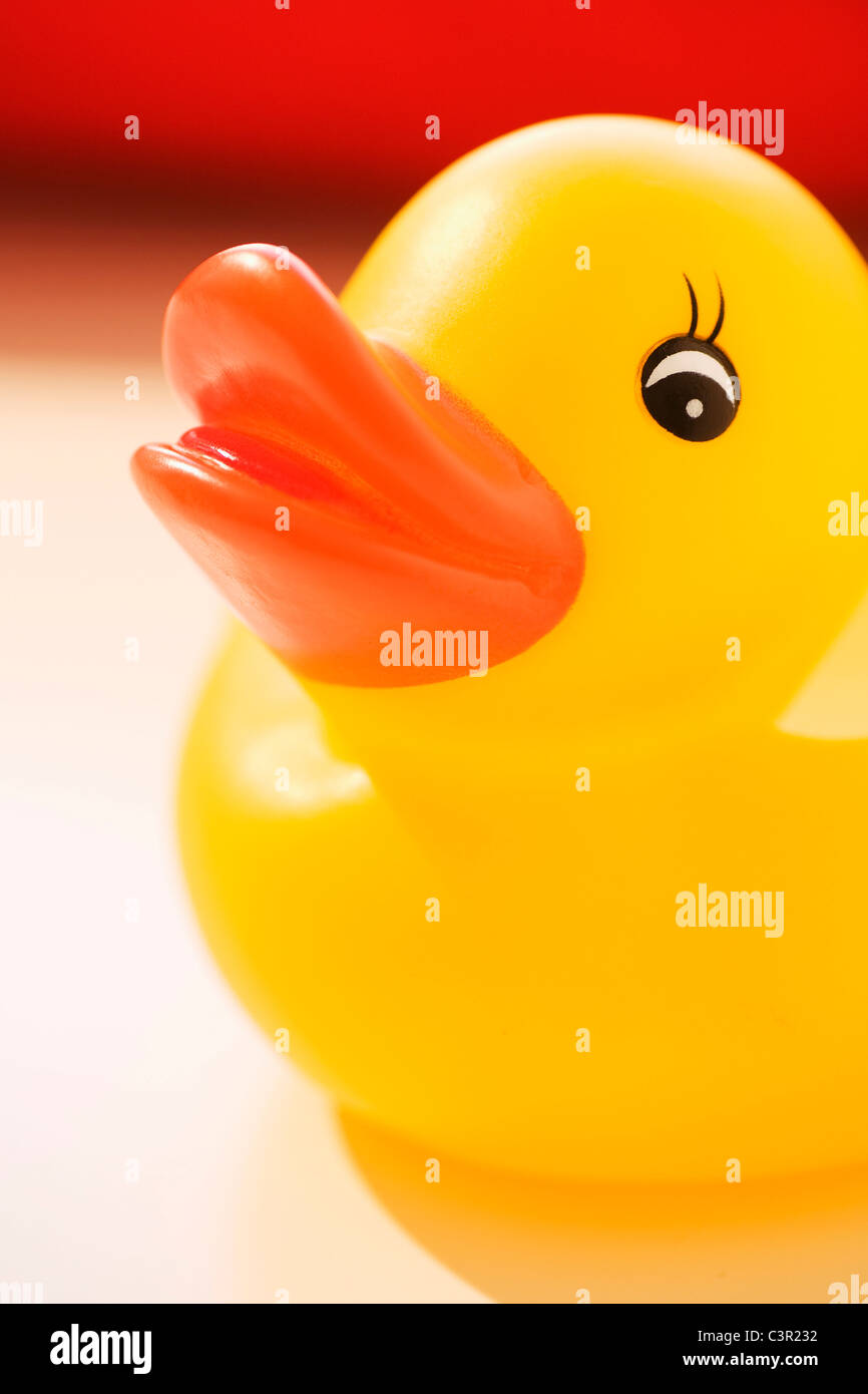Yellow rubber duck, close-up Stock Photo - Alamy