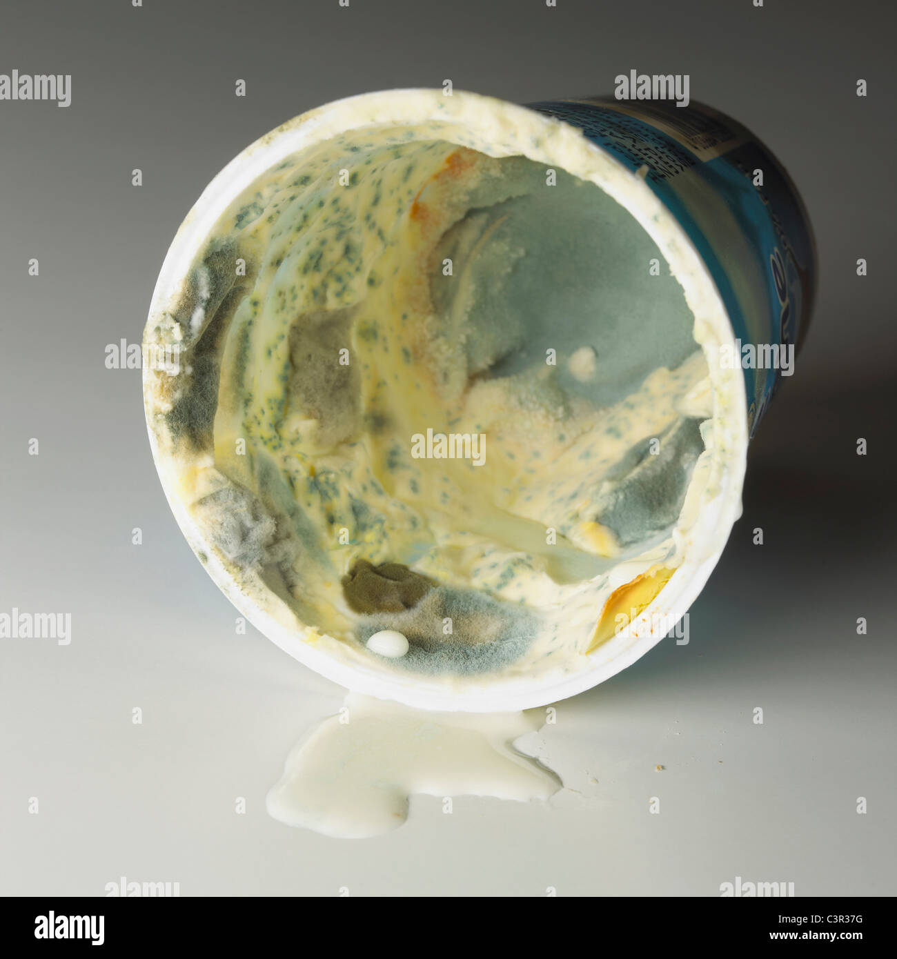 Fungus growth in plastic cup on gray background Stock Photo - Alamy