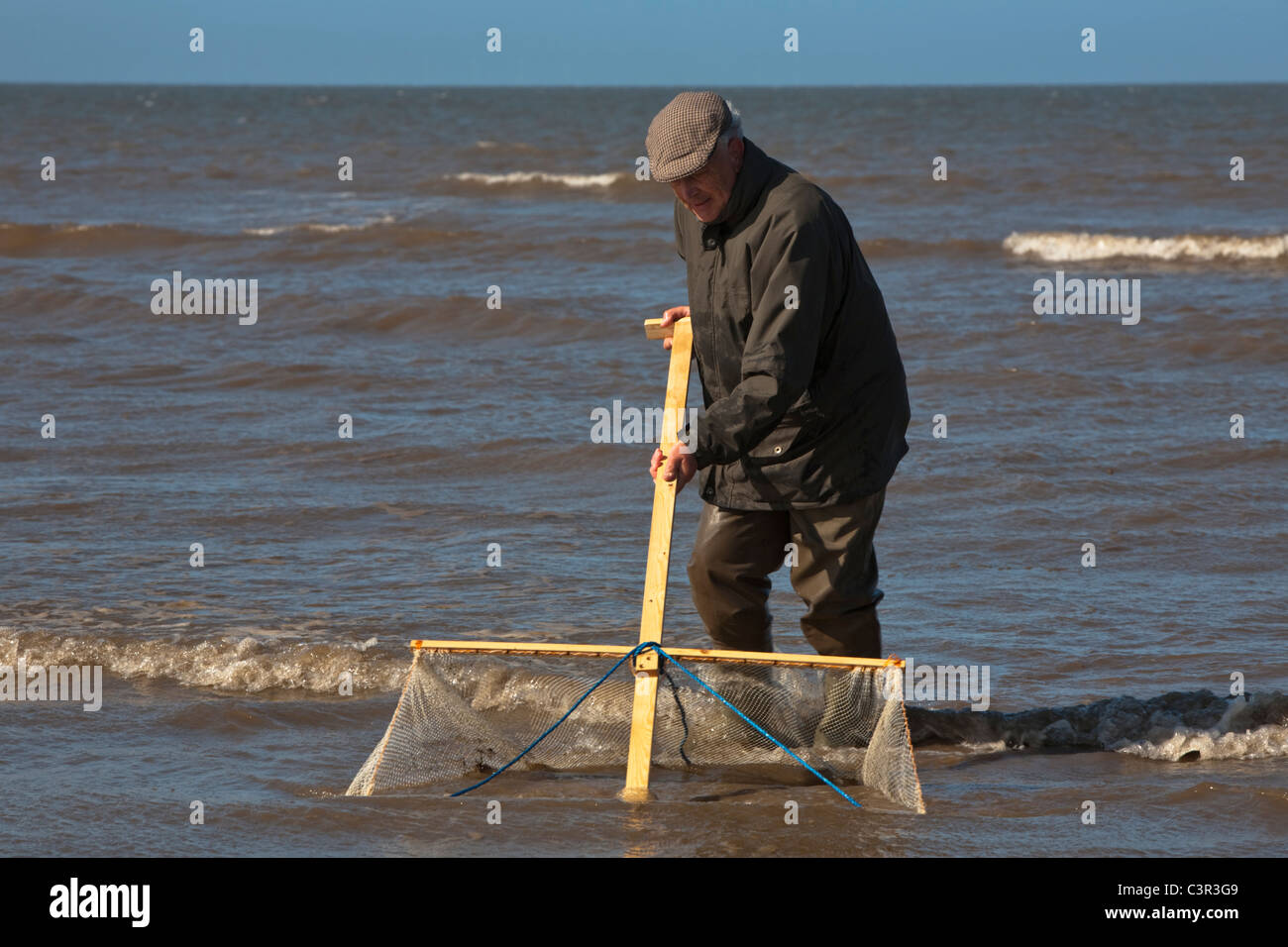 Shrimp netting on the Norfolk coast at Titchwell, Uk Stock Photo - Alamy