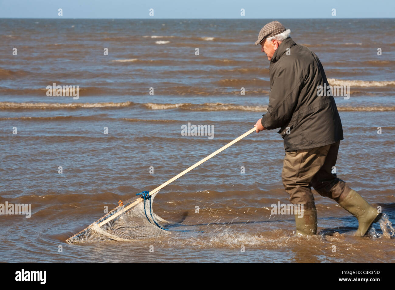 Shrimp netting on the Norfolk coast at Titchwell, Uk Stock Photo - Alamy