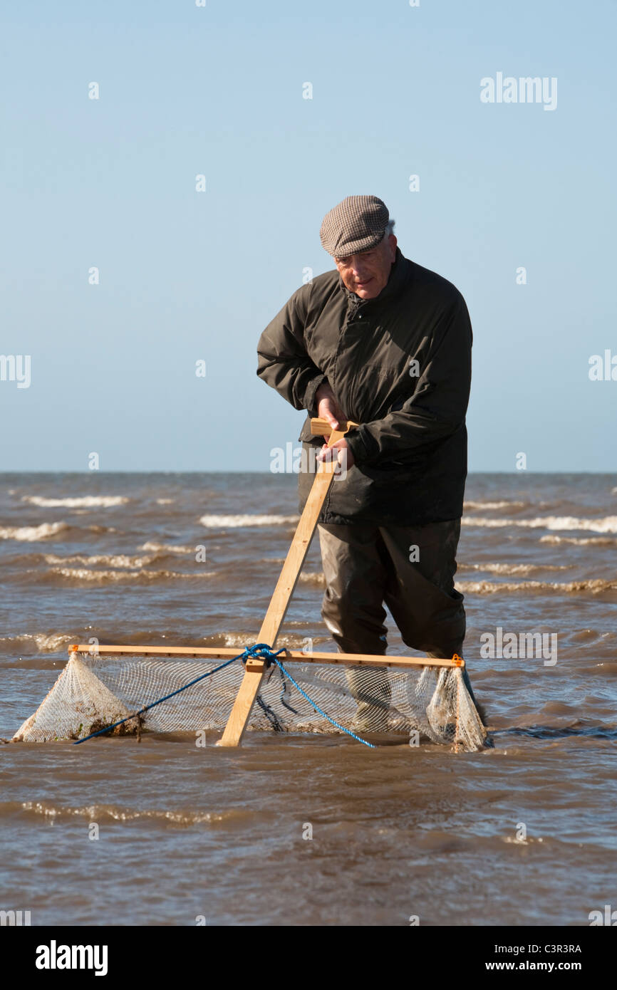 Push netting hi-res stock photography and images - Alamy