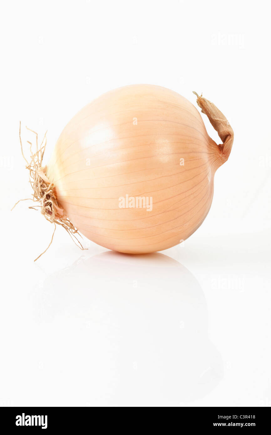 Single onion on white background Stock Photo - Alamy
