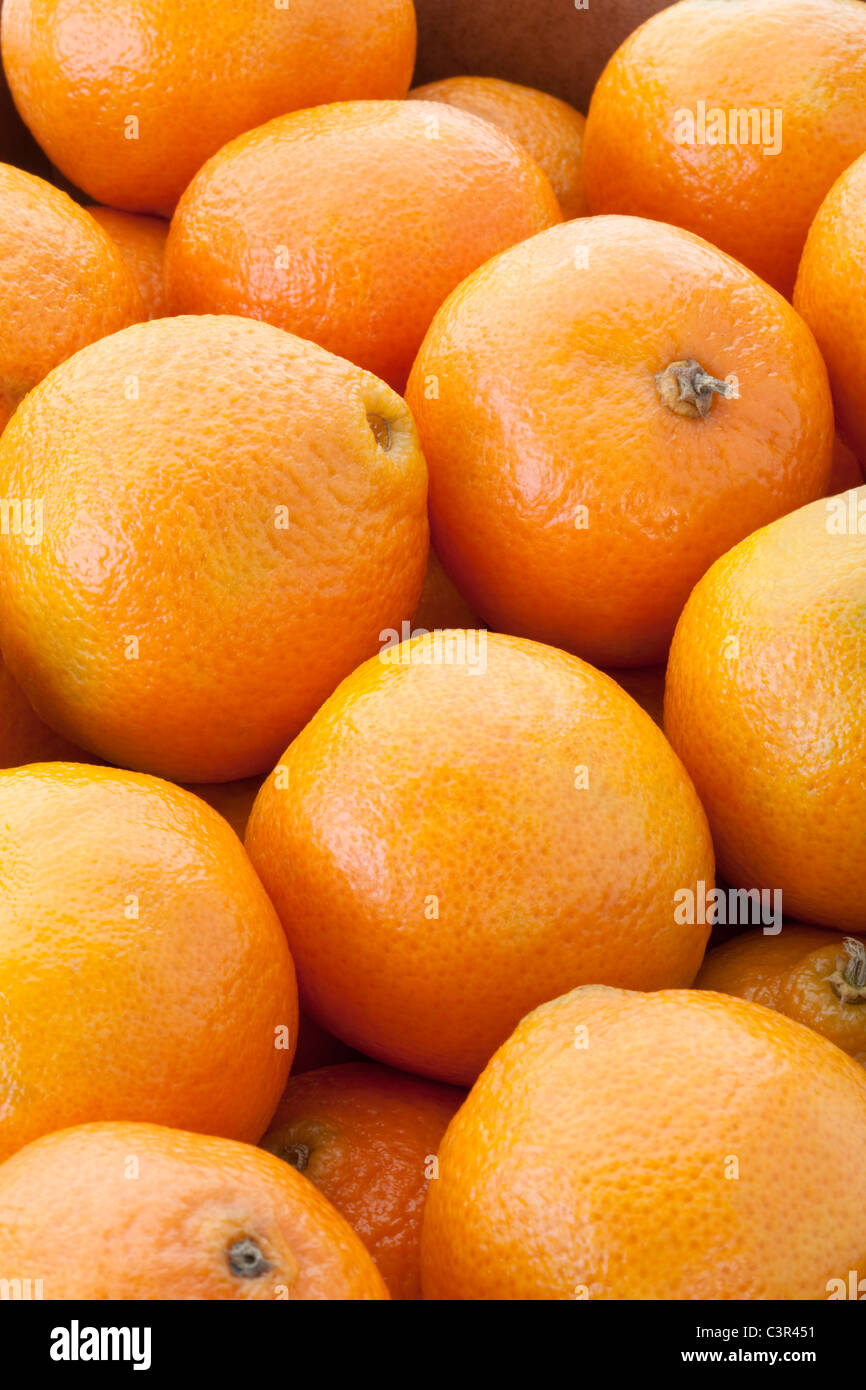 Tangerines, close up Stock Photo - Alamy