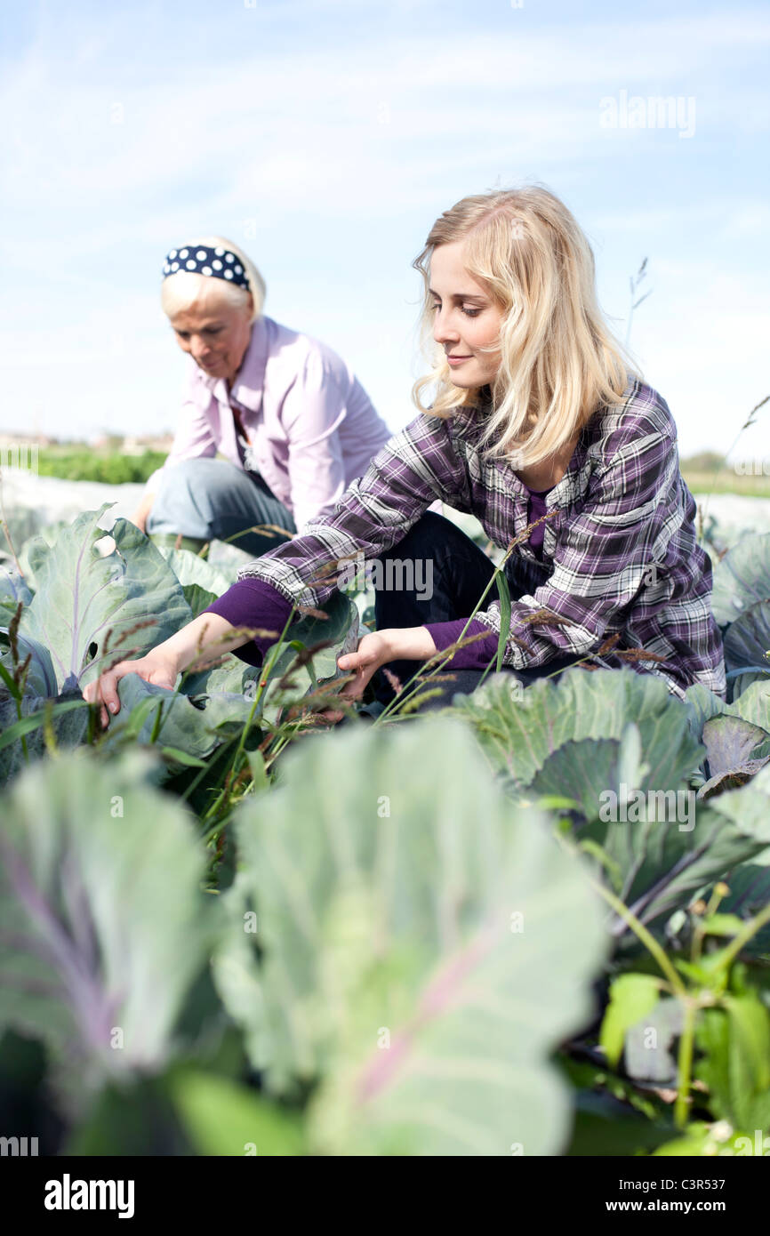 Germany women working farm hi-res stock photography and images - Alamy