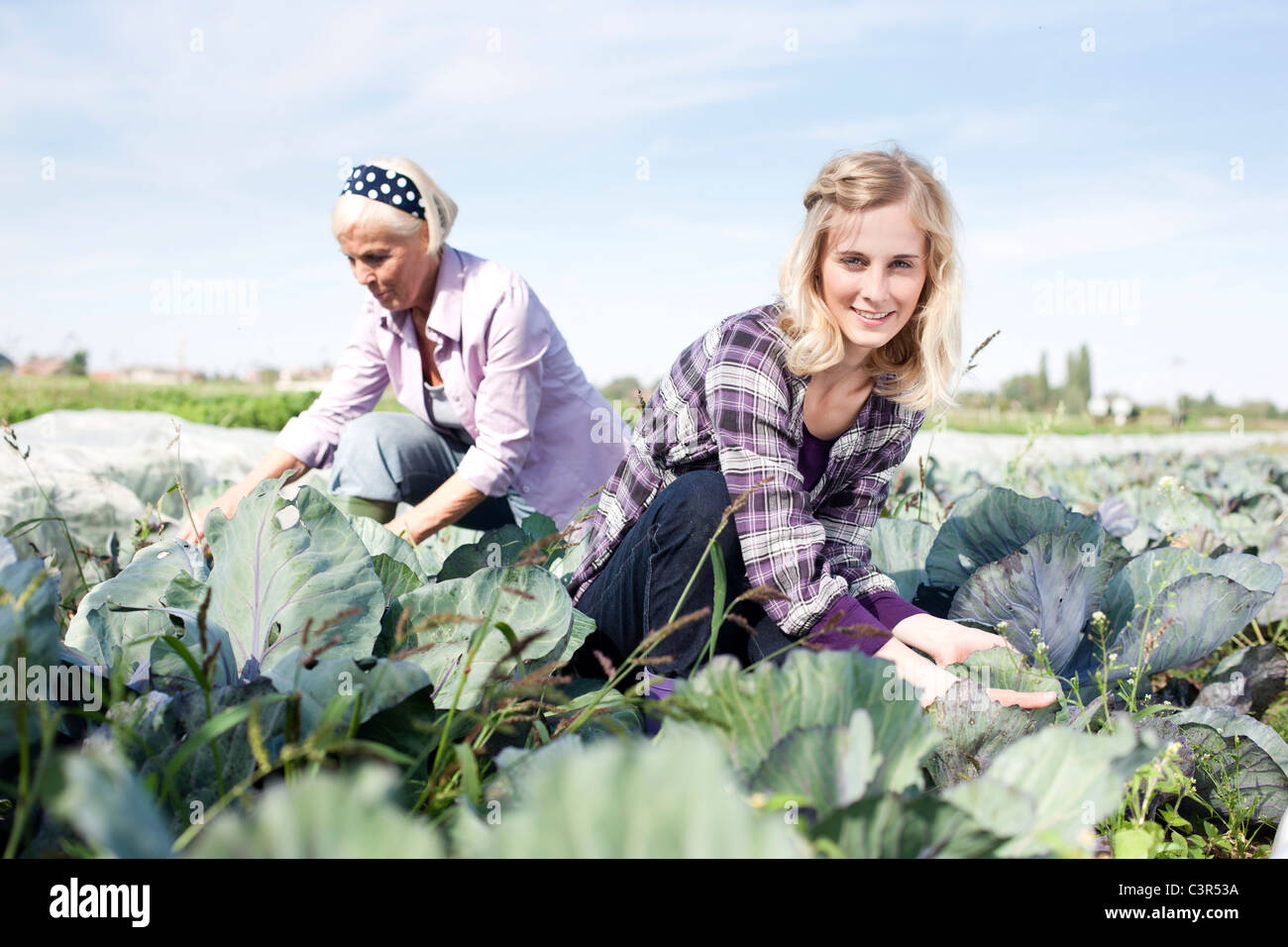 Germany, Saxony, Women working at the farm Stock Photo - Alamy
