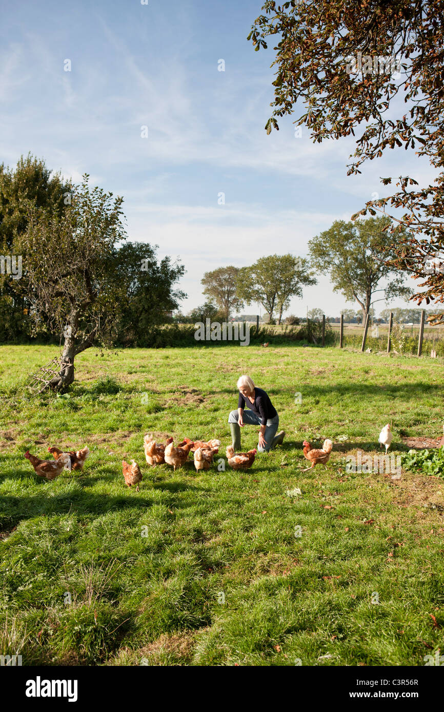 Germany, Saxony, Senior woman with hens at the farm Stock Photo - Alamy