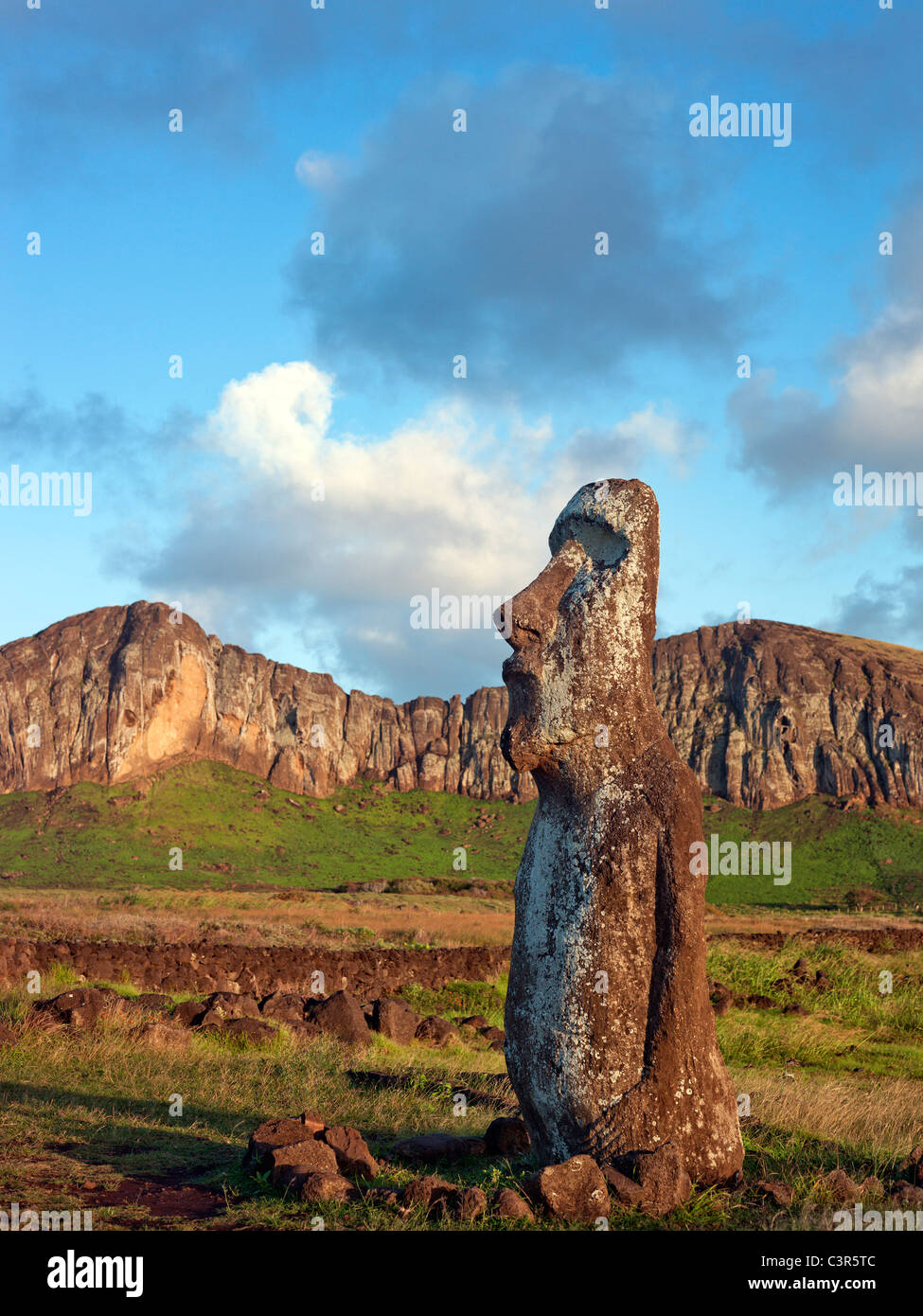 Moai at the entrance to Ahu Tongariki with Rano Raraku volcano in the ...