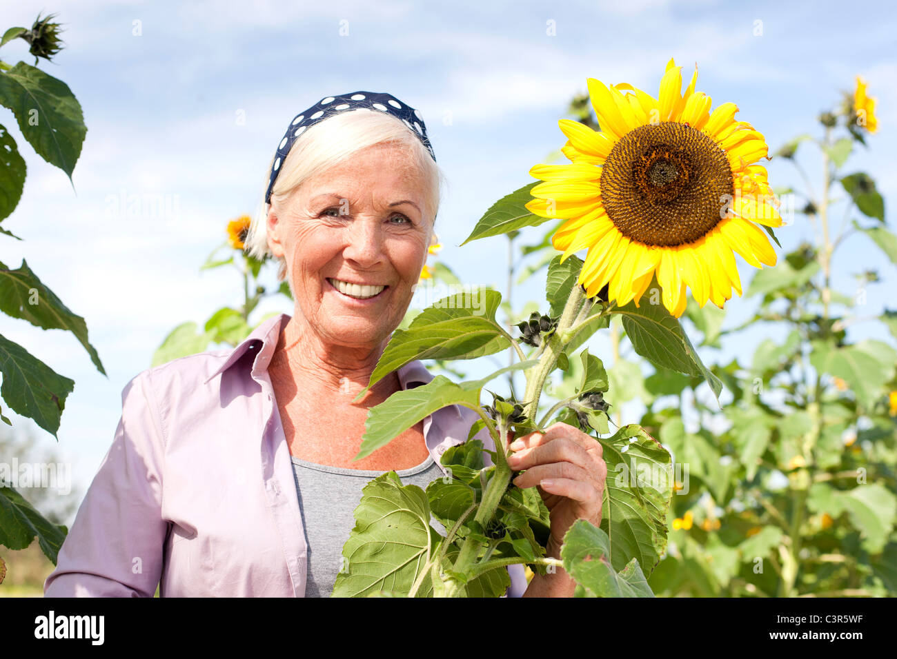 Germany, Saxony, Senior woman with sunflower, smiling Stock Photo - Alamy