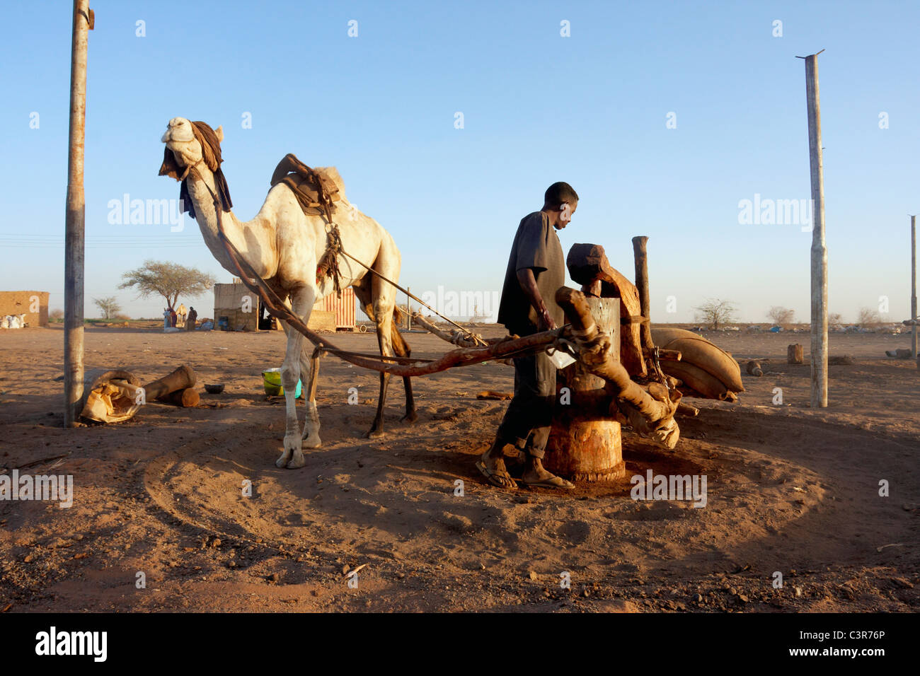 Oil making device moved by a camel, Sudan Stock Photo - Alamy