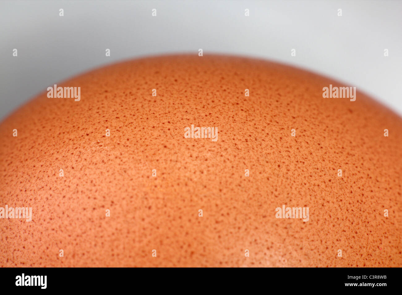 Egg close up Stock Photo - Alamy