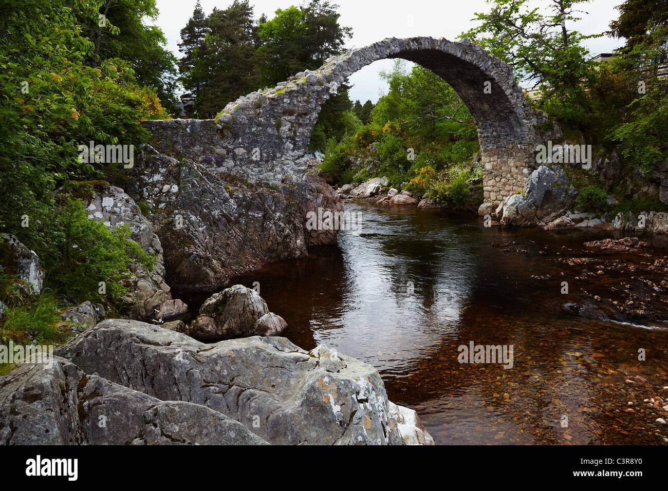 Carrbridge packhorse bridge hi-res stock photography and images - Alamy