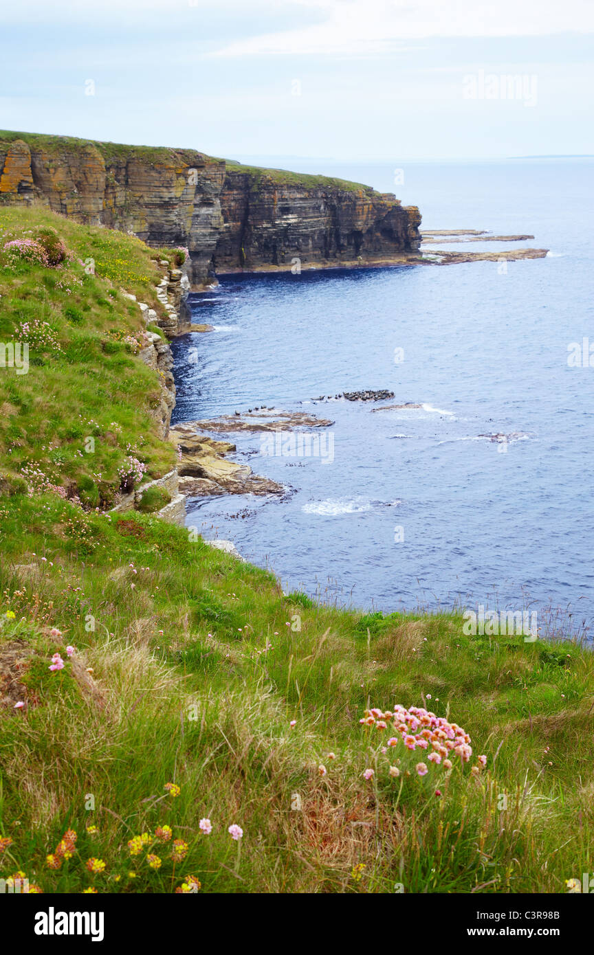 View on cliffs on North-East of Scotland Stock Photo - Alamy