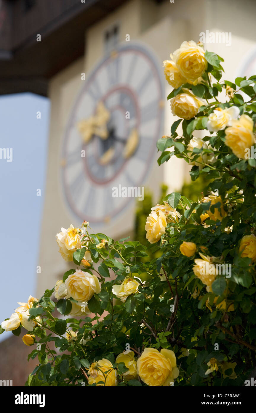House or family mountain of graz hi-res stock photography and images ...